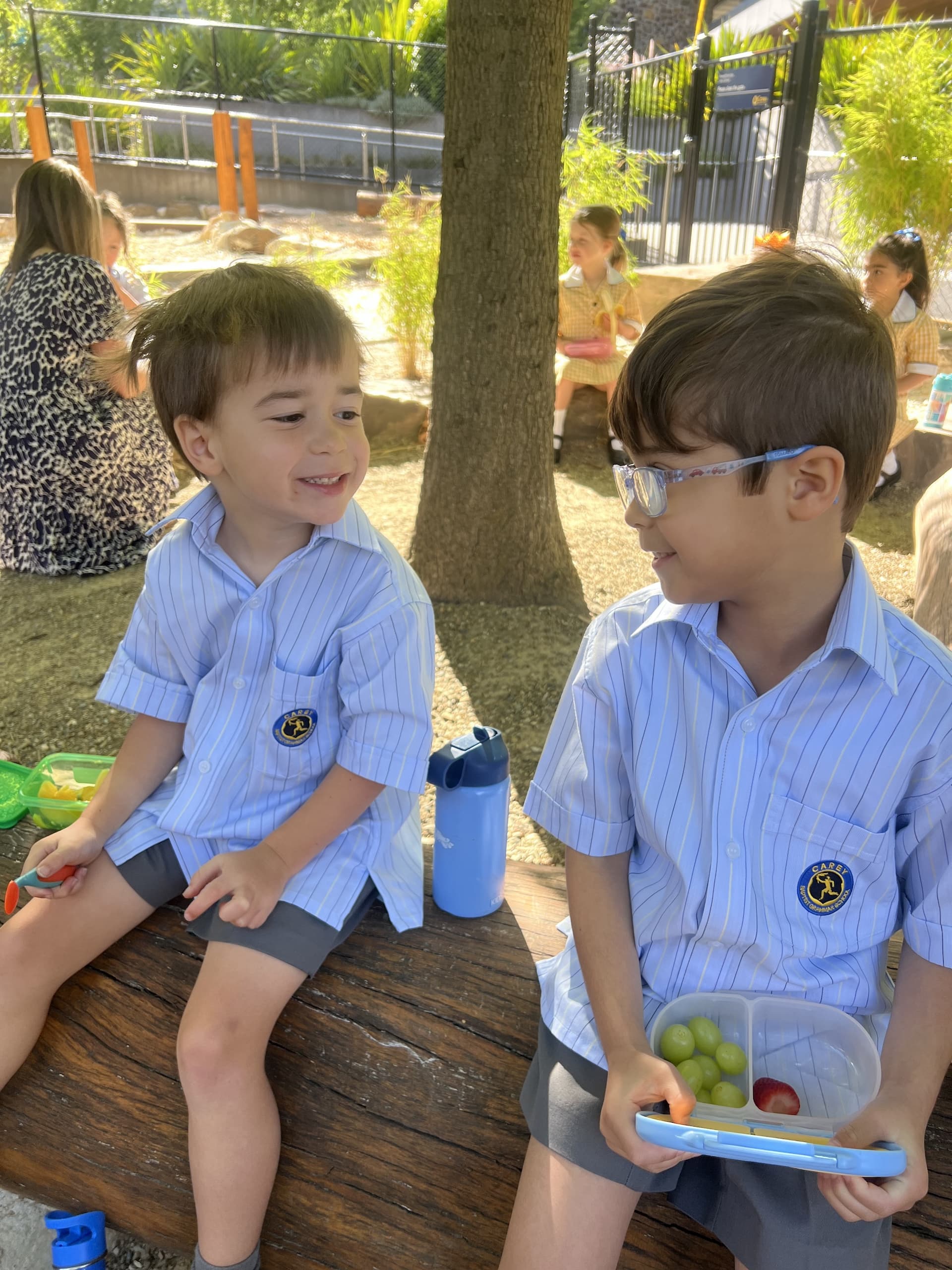 Our Schools | Carey Baptist Grammar School