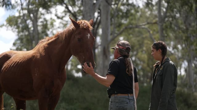 Carey Zero: Promoting meaningful… | Carey Baptist Grammar School