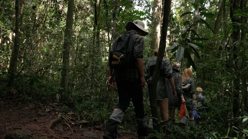 Carey Zero: Promoting meaningful… | Carey Baptist Grammar School