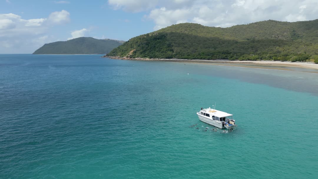 Carey Zero: Promoting meaningful… | Carey Baptist Grammar School