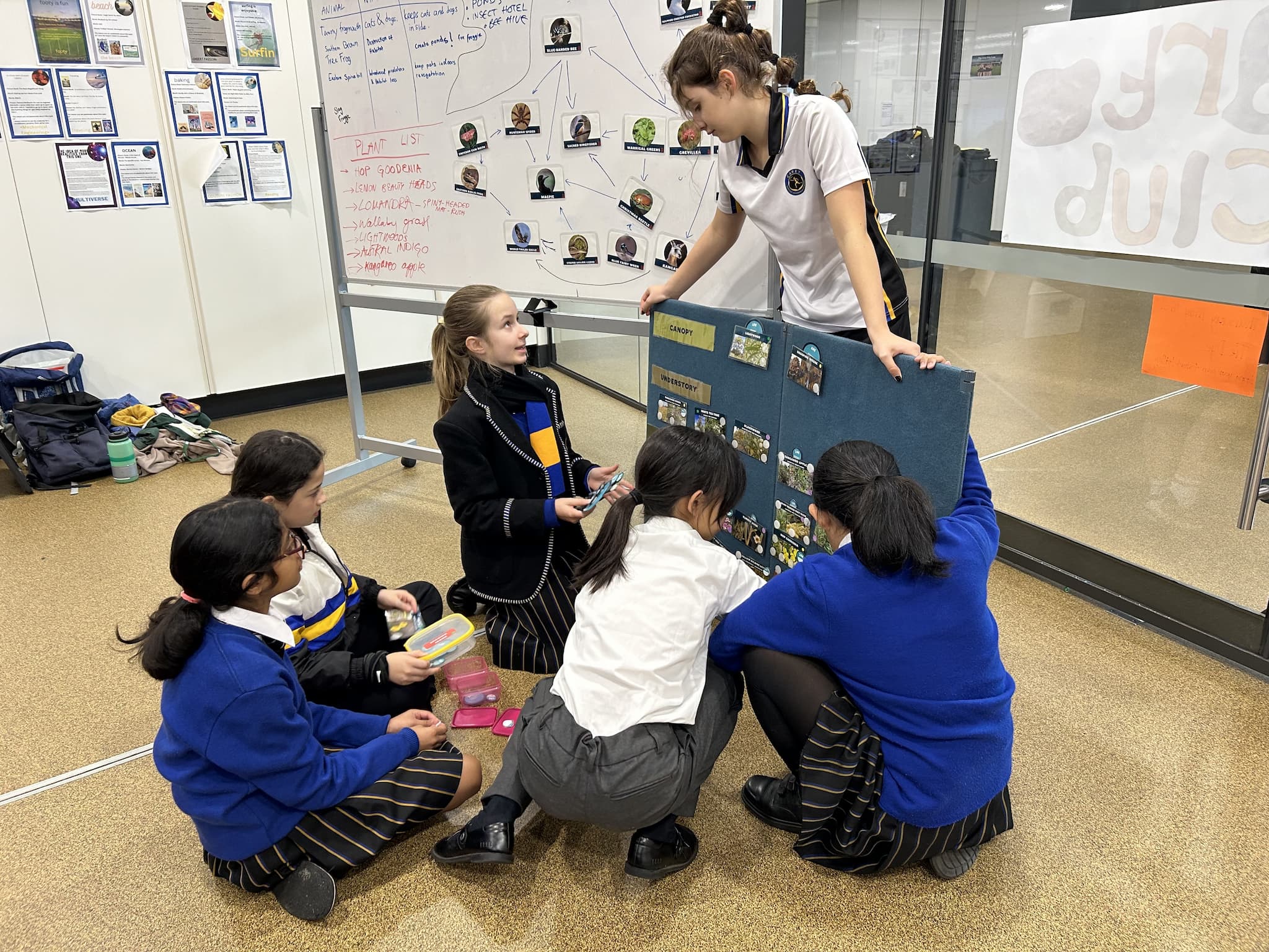 Contact our Kew and Donvale campuses | Carey Baptist Grammar School