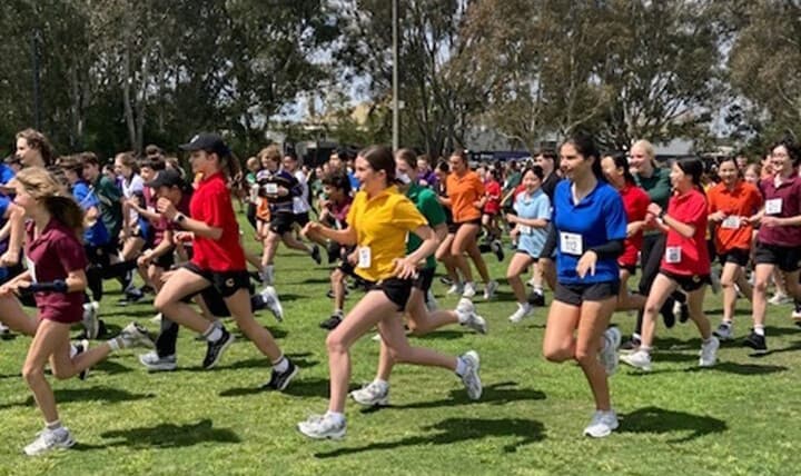 Mad, Sad, Bad …what happened to Glad? | Carey Baptist Grammar School